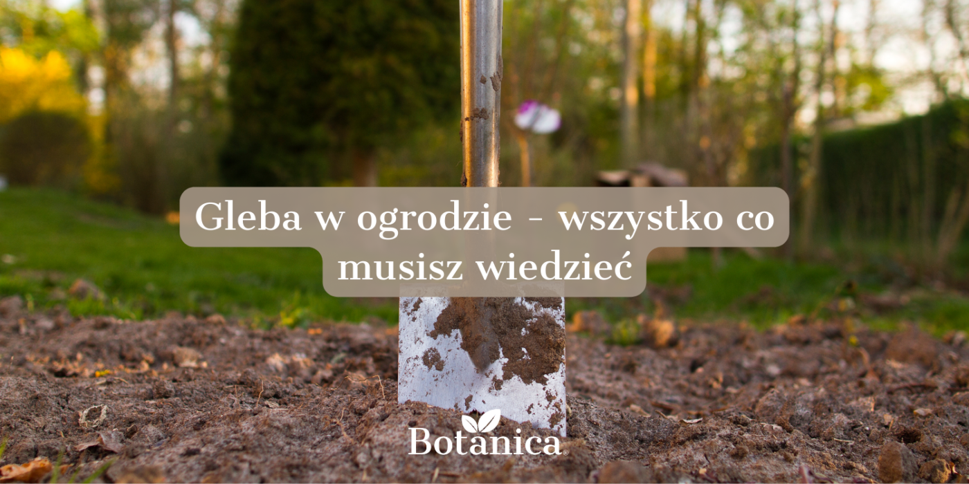 Gleba w ogrodzie – wszystko, co musisz wiedzieć - Botanica